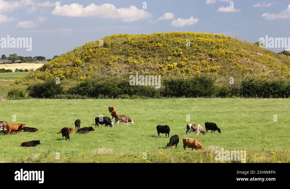 Lords castle Stock Videos & Footage - HD and 4K Video Clips - Alamy