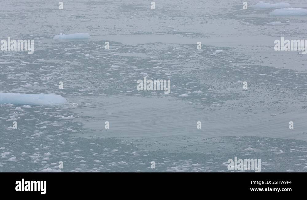 Rotten sea ice at over 80 degrees North off the north coast of Svalbard ...