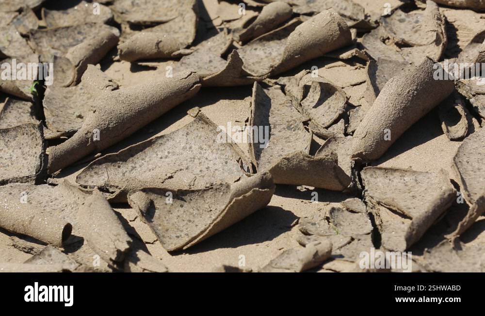 Mud cracks in drying up flood debris after the catastrophic Malawi ...