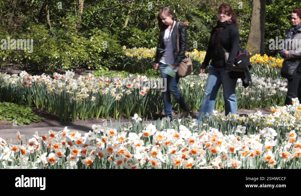 Keukenhof gardens, the most famous Spring garden in the world, Lisse ...