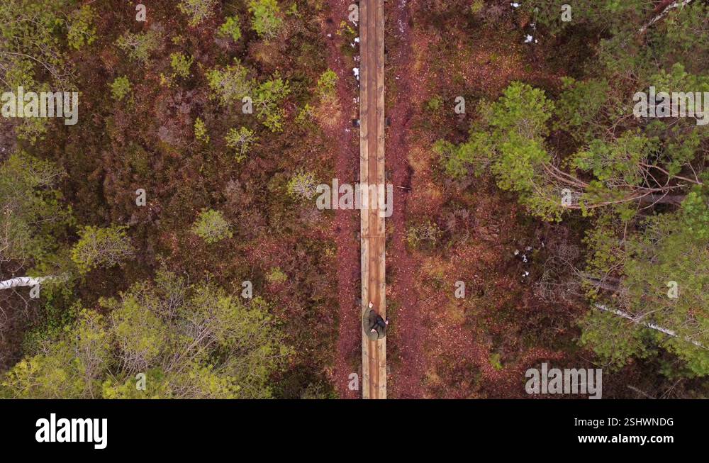 Boardwalk swamp Stock Videos & Footage - HD and 4K Video Clips - Alamy