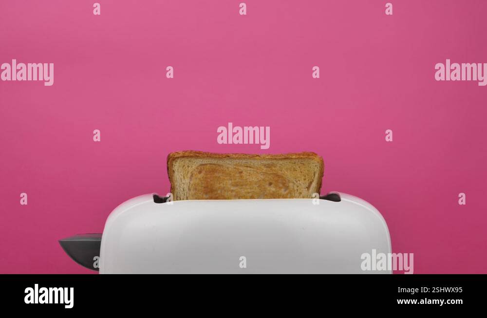 Fried toast bread pops out of a white modern toaster on a pink ...