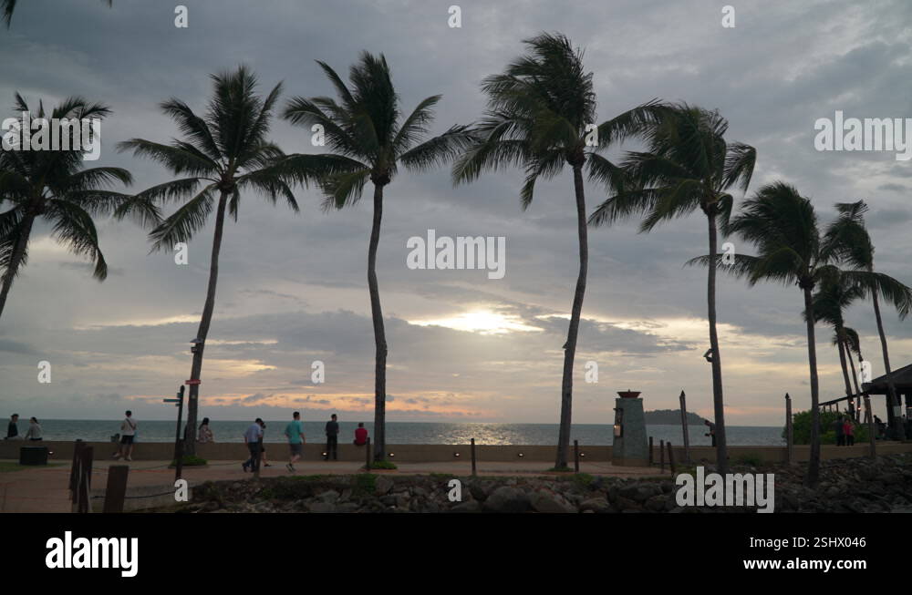 People enjoy beach promenade Stock Videos & Footage - HD and 4K Video ...