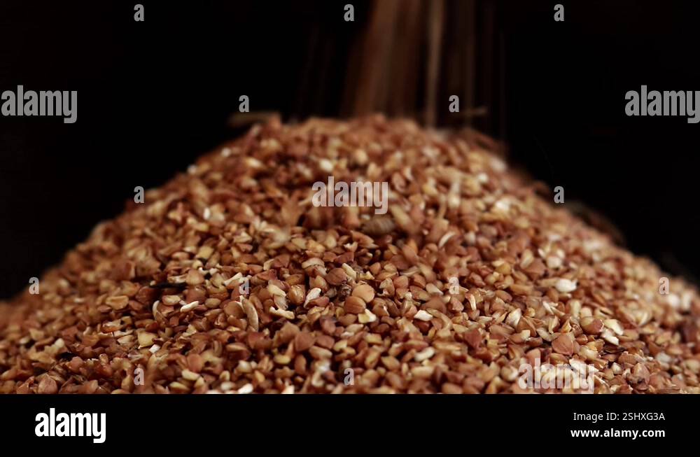 Buckwheat groats are fall into a pile on a black background Stock Video ...