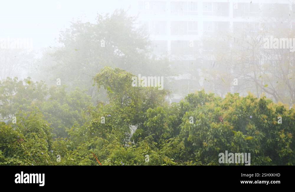 Heavy tropical rain with hail, strong rainstorm typhoon in Chiang Mai ...
