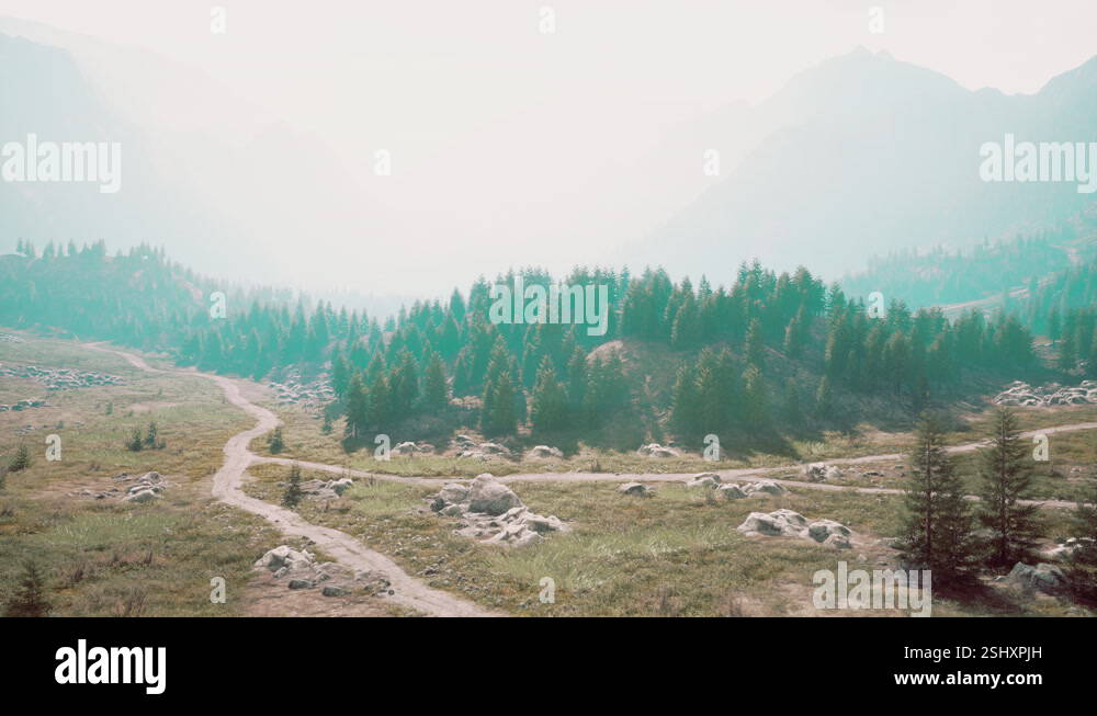 Mountain path hiking to woods pathways Stock Video Footage - Alamy