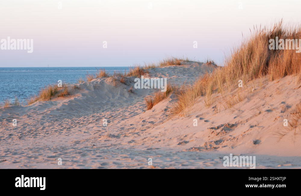 Offshore Sand Dune Mountain With Sea Grass During Summer. Close Up ...