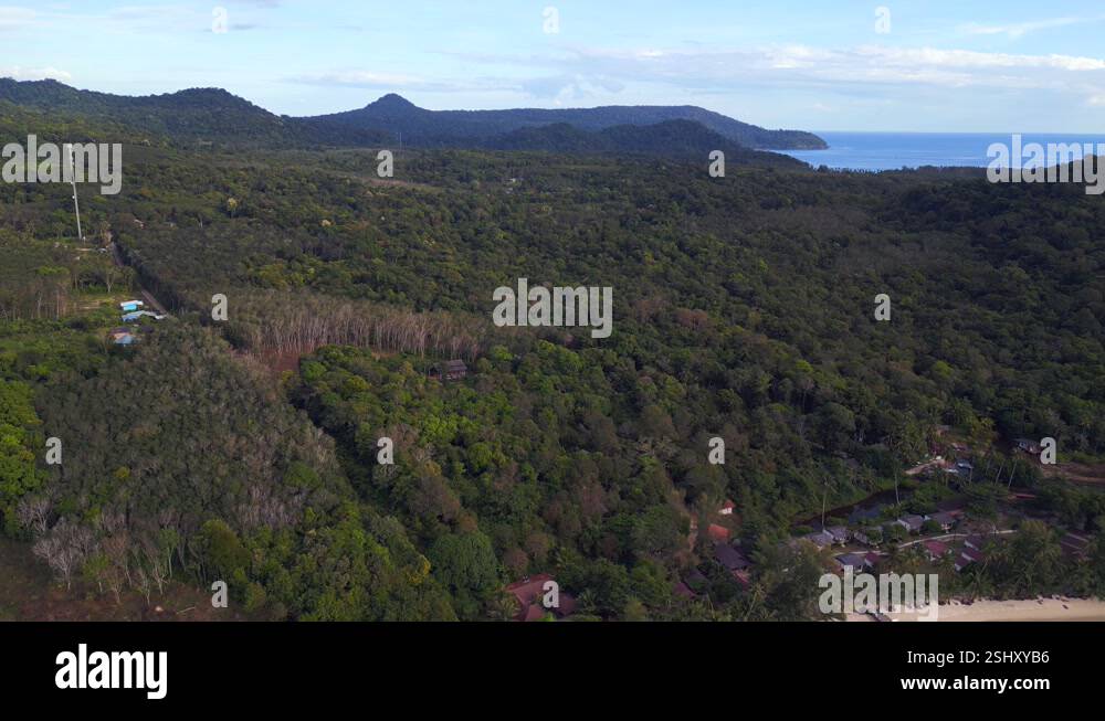 Densely overgrown vacation island paradise. Spectacular aerial view ...