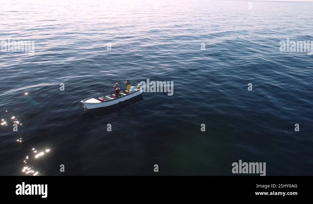 Angler's reel Stock Videos & Footage - HD and 4K Video Clips - Alamy