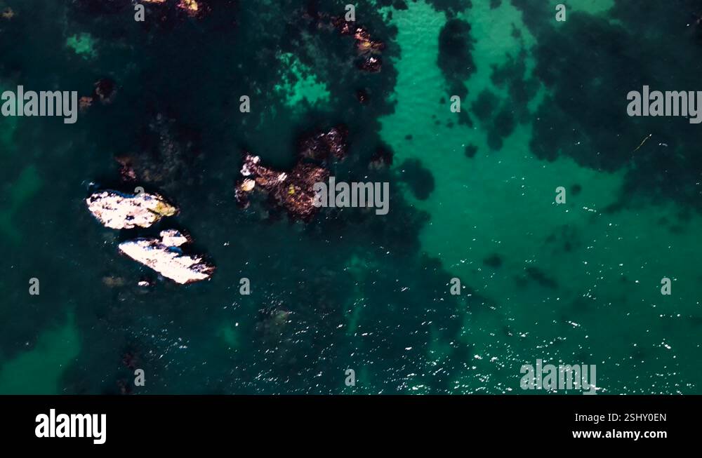 Birdseye view of coastal seacliffs, sandy bottom, green water, kelp and ...