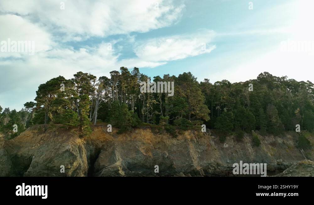 Trees on cliffside Stock Videos & Footage - HD and 4K Video Clips - Alamy