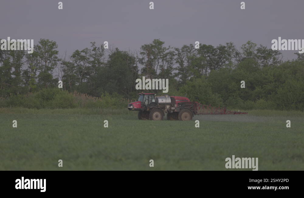 Sprayer CASE 3330 spraying pesticides on chickpea field. Field ...