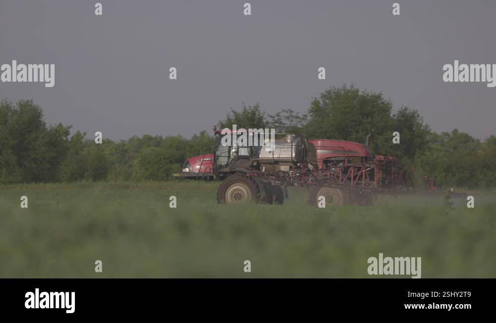 Sprayer CASE 3330 spraying pesticides on chickpea field. Field ...