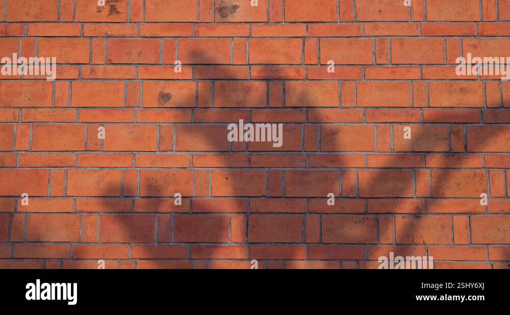 Brick shadow pattern Stock Videos & Footage - HD and 4K Video Clips - Alamy