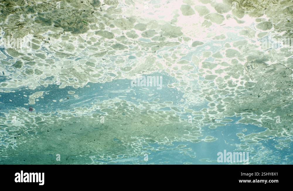 Close-up an oily fatty layer of garbage slowly drifts on surface of sea ...