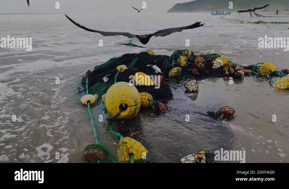 fishing net on the shore, seabirds flying arround, artisanal fishermen ...