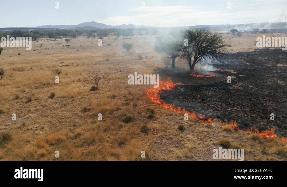 Wind spreading a uncontrolled lightning fire fast over dry savanna ...