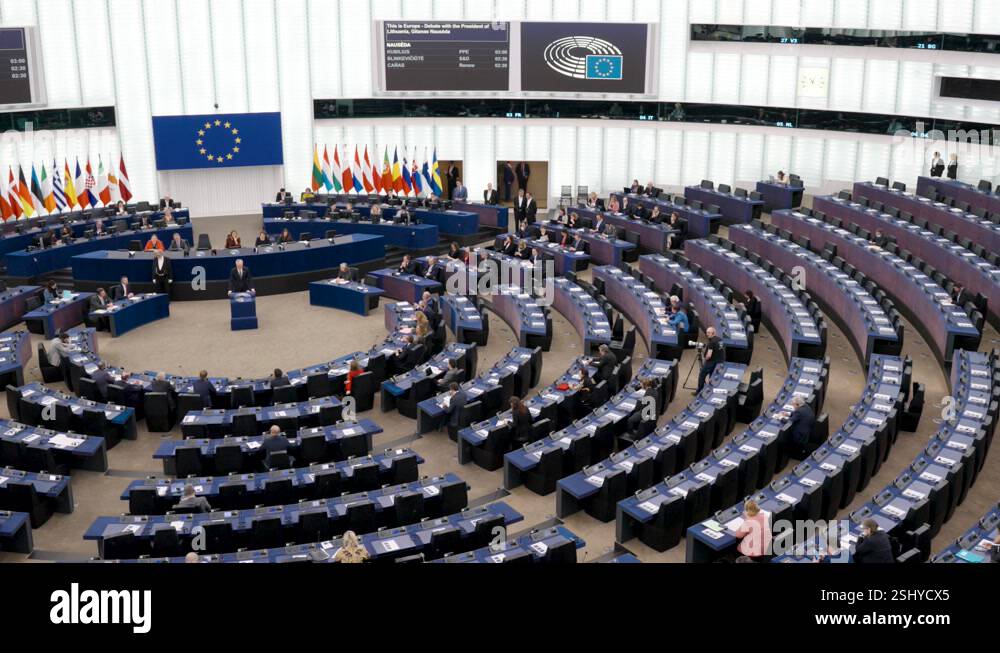 Lithuanian President Gitanas Nausėda talking on the Ukrainian-Russian ...