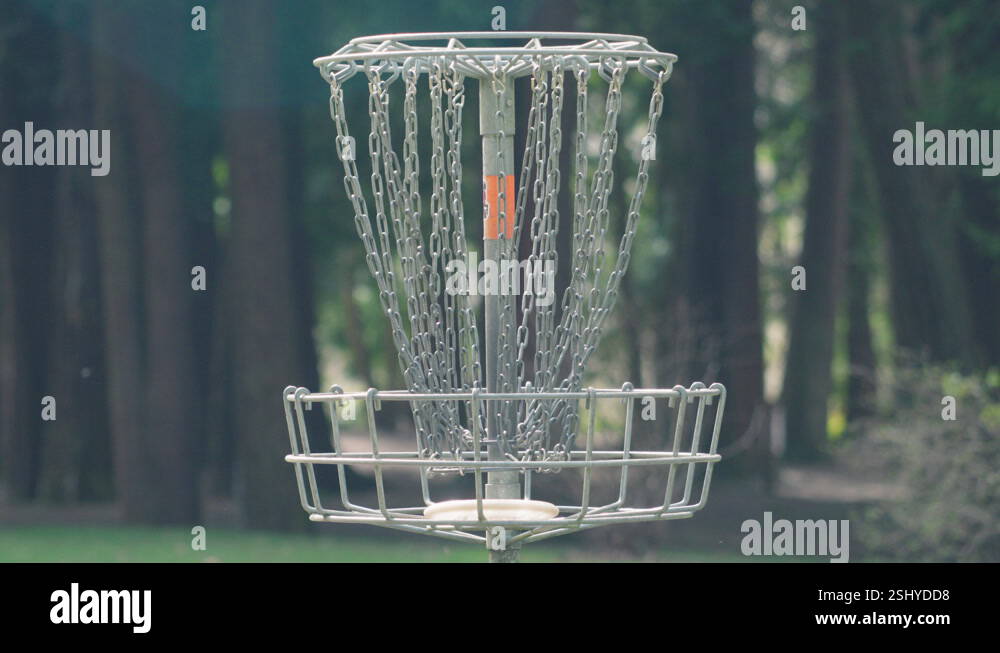 Disc Landing in Metal Chain Basket on Forest Golf Course Stock Video ...