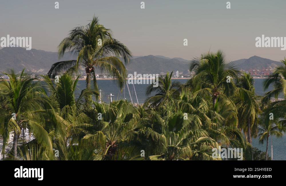 Far away view of the mountain range through palm trees across the bay ...