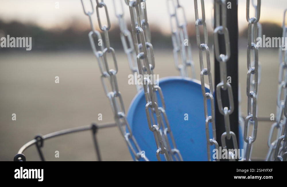 Trash Panda Inner Core Blue Disc Golf Disc Going into Black Disc Golf ...