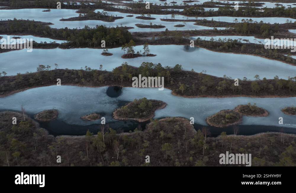 Soaring above a swamp, the drone captures a mesmerizing landscape with ...