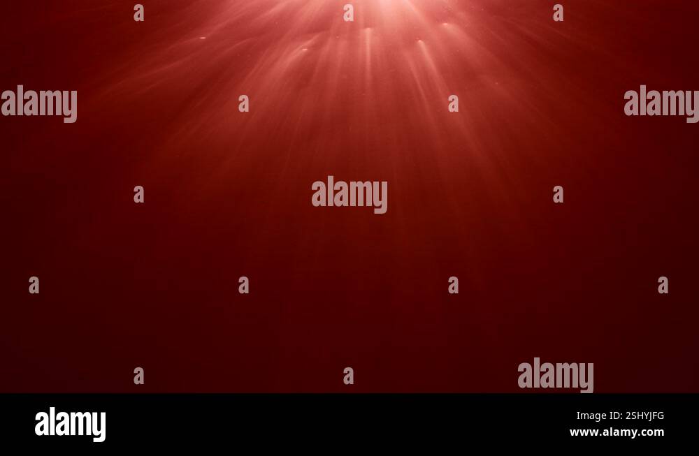 Slow motion, Red sunbeams fall into depth of sea Stock Video Footage ...