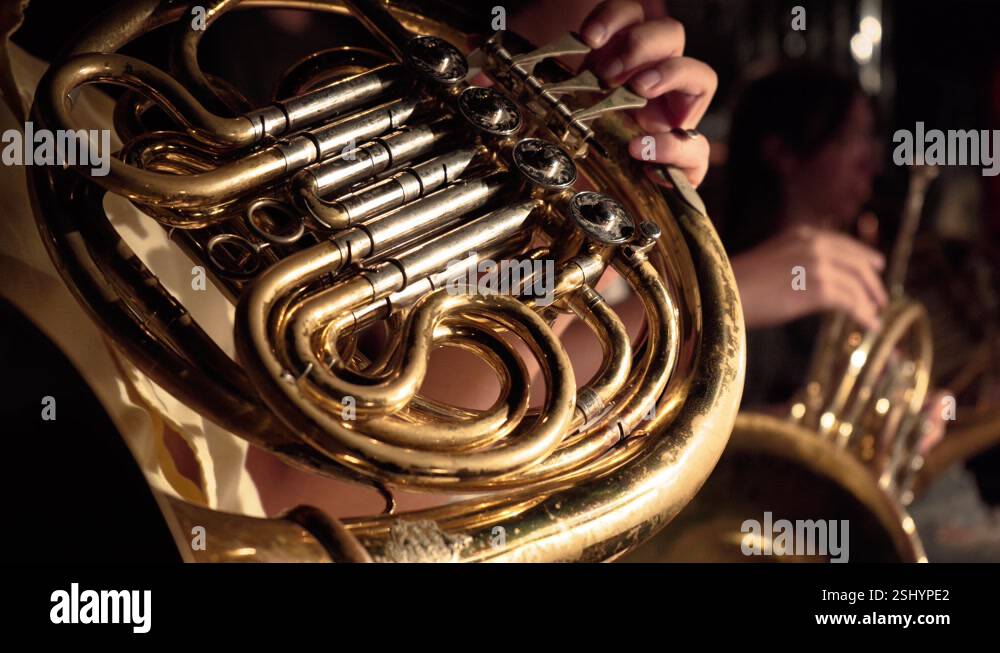 French horns Stock Videos & Footage - HD and 4K Video Clips - Alamy