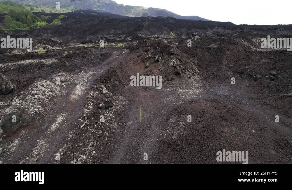 On old field of hard lava you can see numerous traces of human activity ...