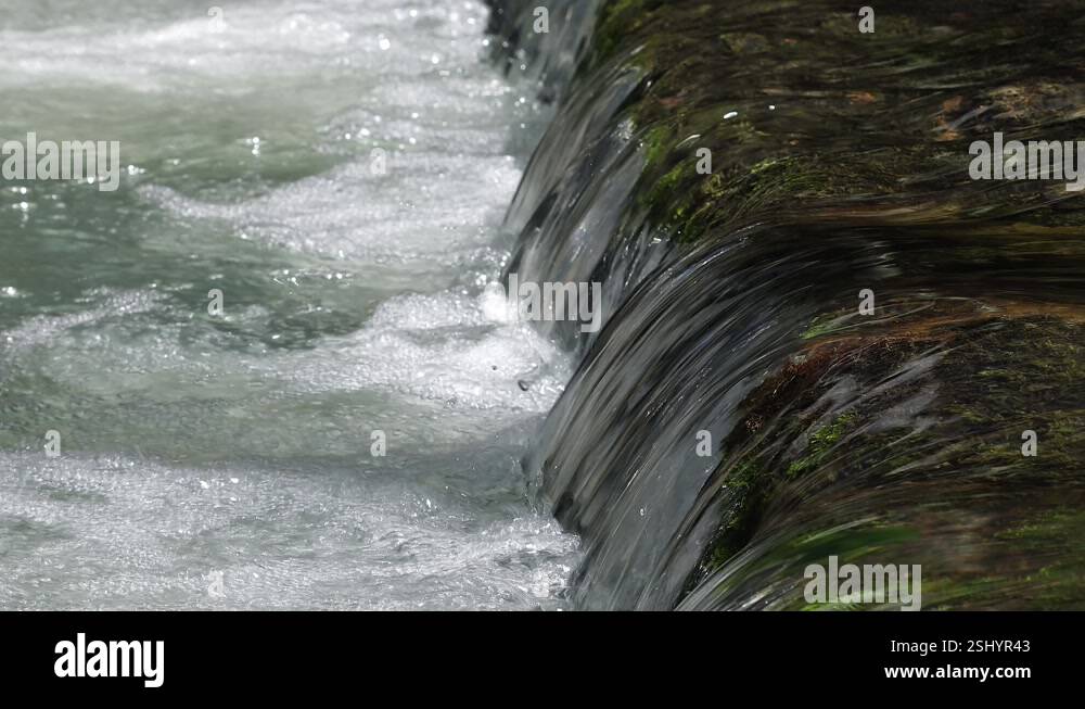 Algae moss covered stones Stock Videos & Footage - HD and 4K Video ...