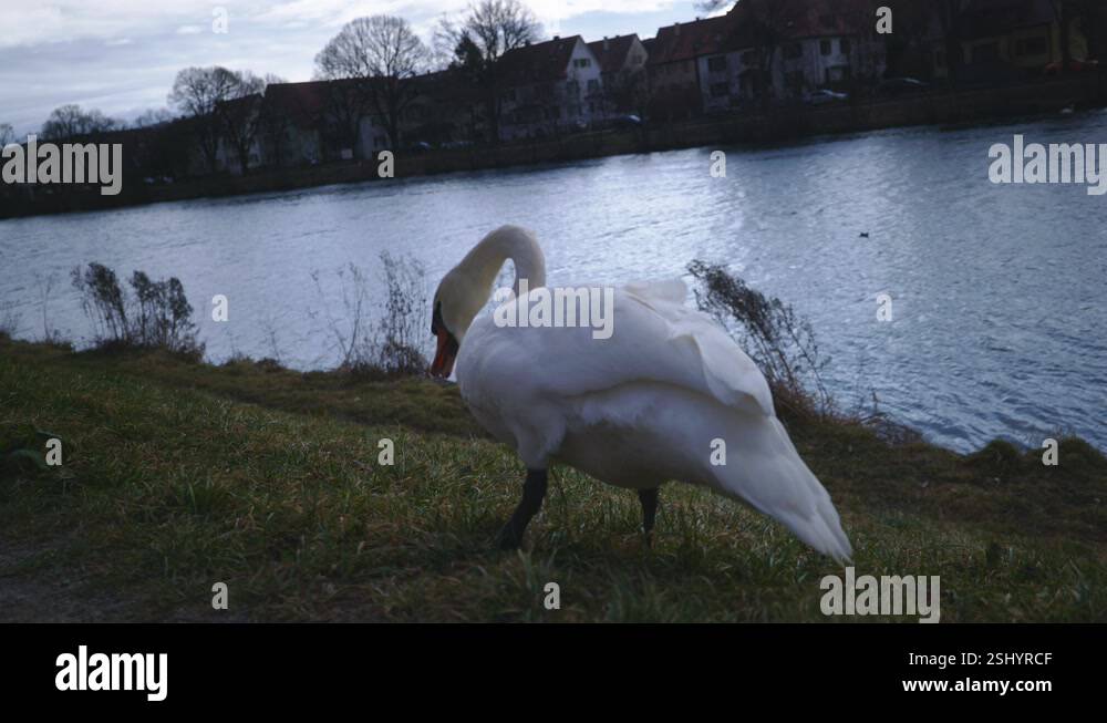 Nature one germany Stock Videos & Footage - HD and 4K Video Clips - Alamy