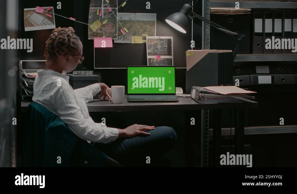 Professional inspector Stock Videos & Footage - HD and 4K Video Clips ...