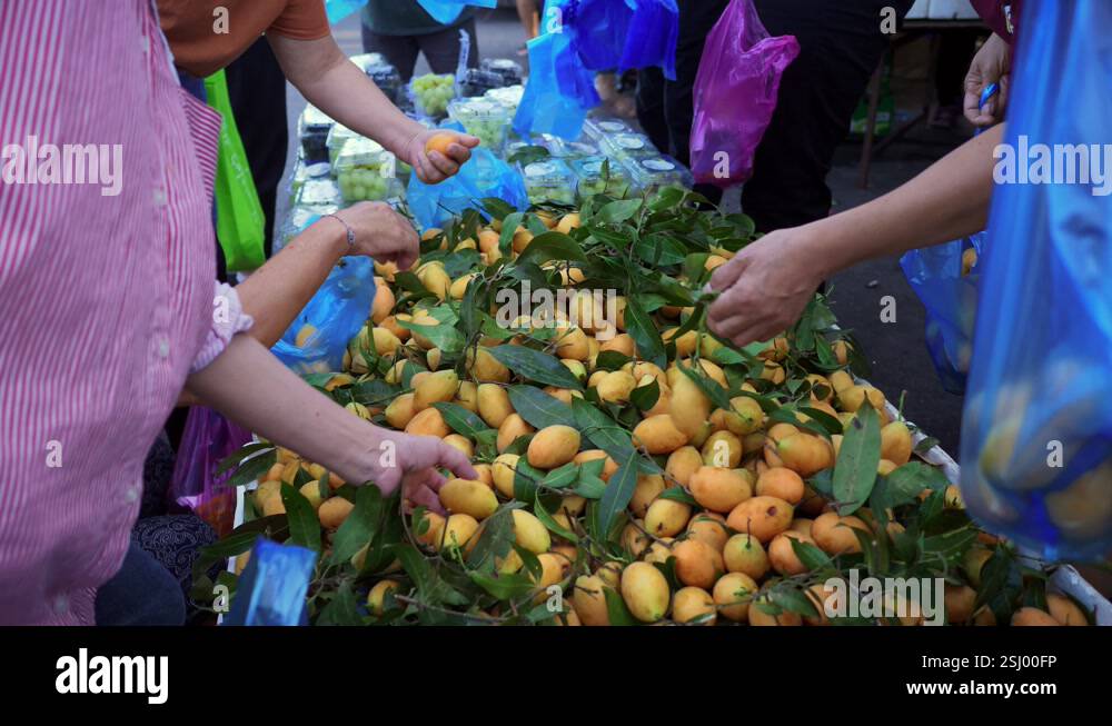 people of all ages and backgrounds choosing ripe and colorful fruits ...