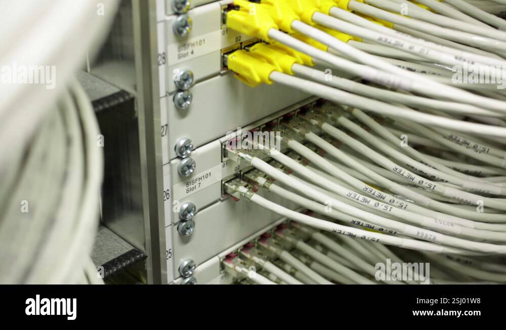Close-up white wires connected to the internet in a server room, tilt ...
