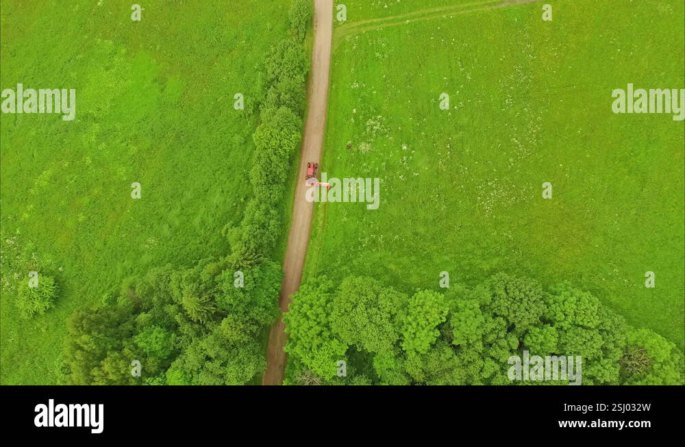 Verge grass Stock Videos & Footage - HD and 4K Video Clips - Alamy