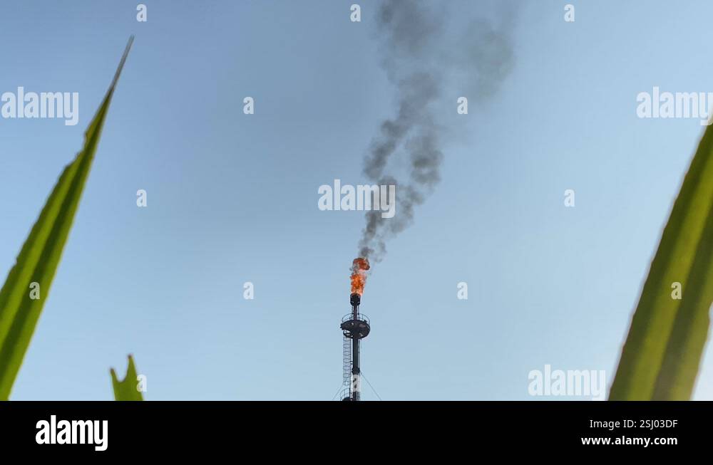 Minimal view of green grass and red flame burning from Gas flare, zoom ...