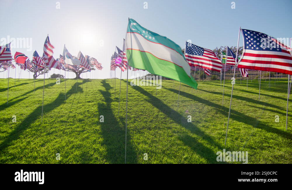 Flag of UZBEKISTAN waving in wind, many American flags on sunset ...