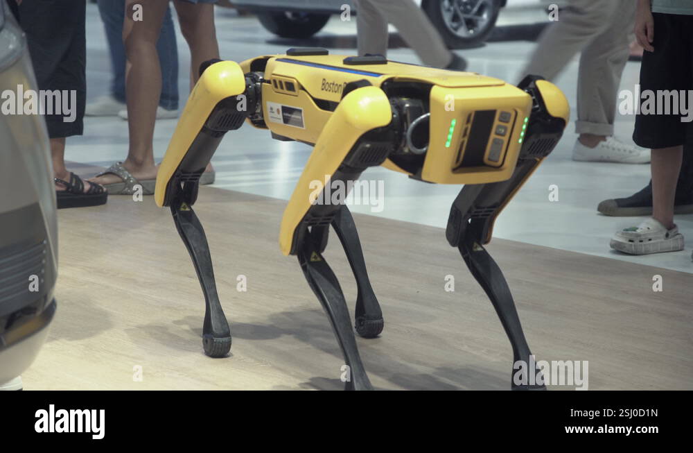 SPOT, the robot dog by Boston Dynamics engineering Stock Video Footage ...