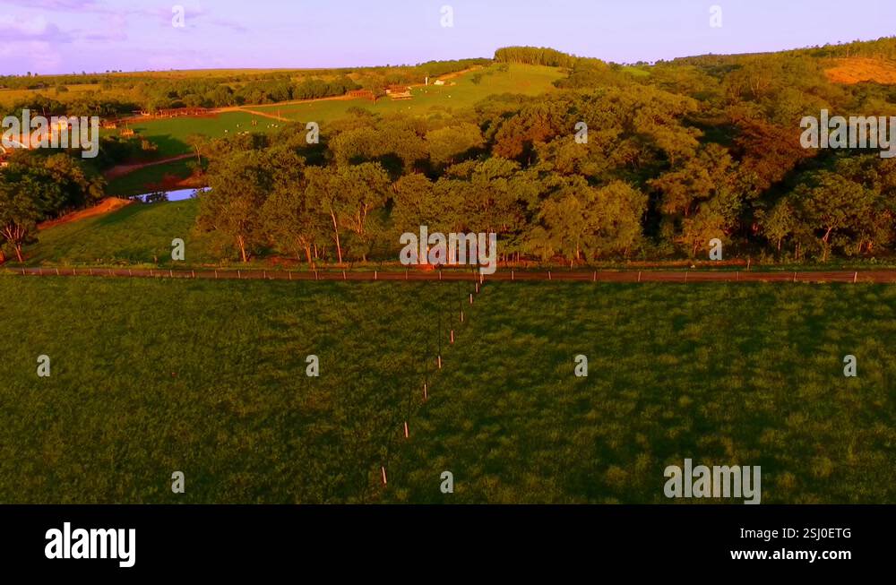 Ascending aerial view of dairy farm fields at sunset - tilt down reveal ...