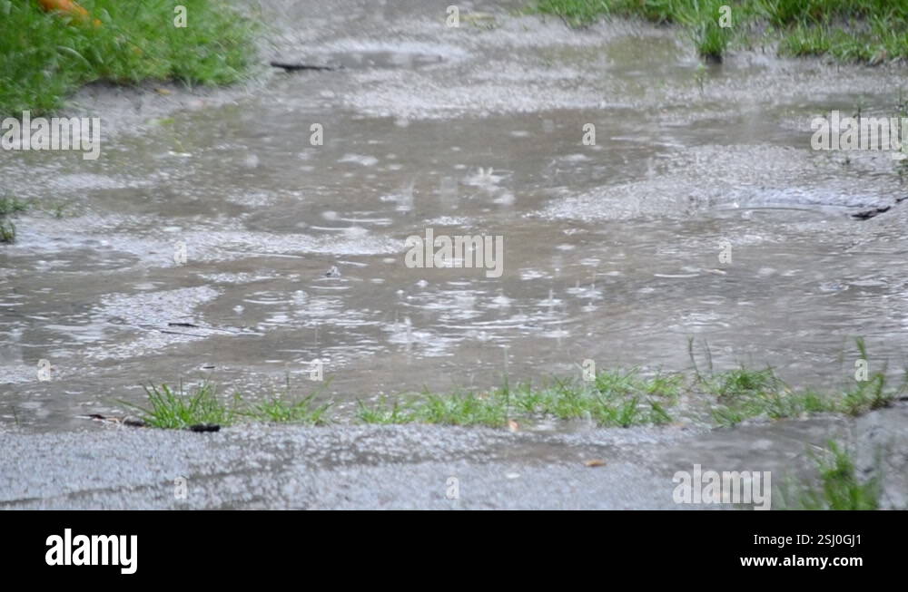 Rain. Rain dripping Drops of heavy rain dripping on dirt ground with ...