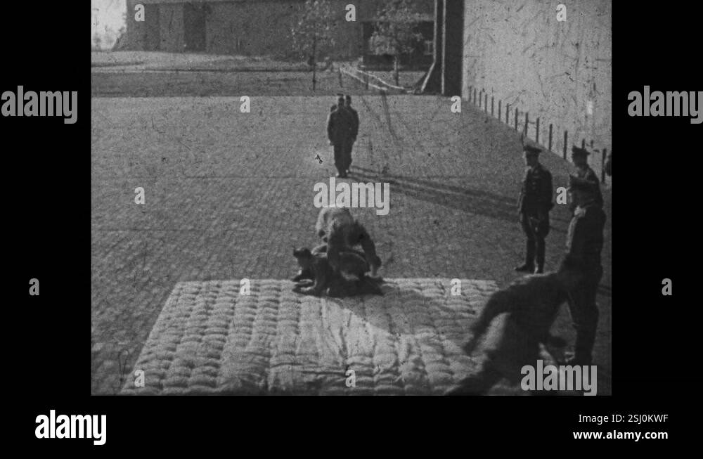 Germany 1940s: Soldiers line up in a row and practice backward ...