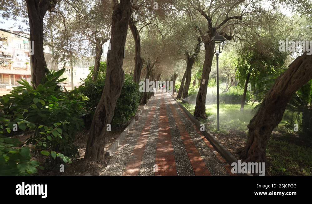 Trees and plants in Villa Comunale di Taormina public garden, Taormina ...