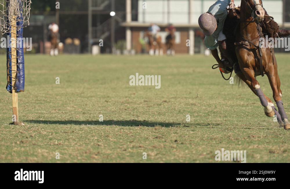 Pato horseball player picking up a six handles ball from the ground ...