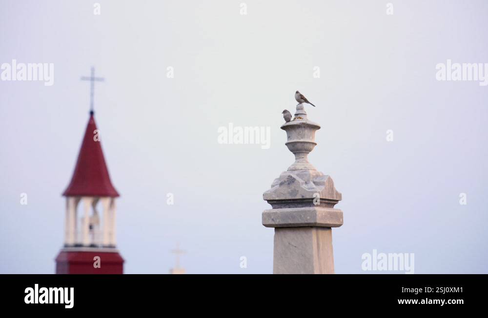Birds on Pillar with Red-Tipped Church in Cemetery Background Stock ...