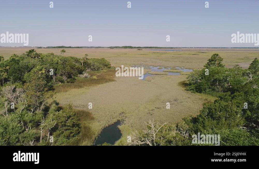 Wetland Marshes Swamp down South on the Water with tall grasses - drone ...