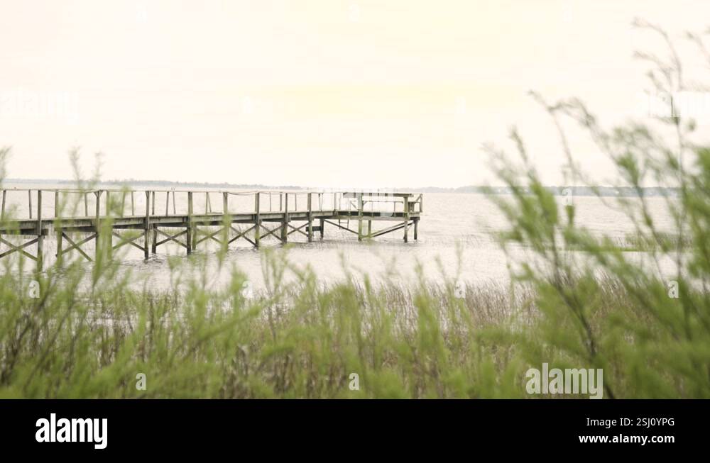 Dock by Wetland Marshes down South on the Water with tall grasses pier ...