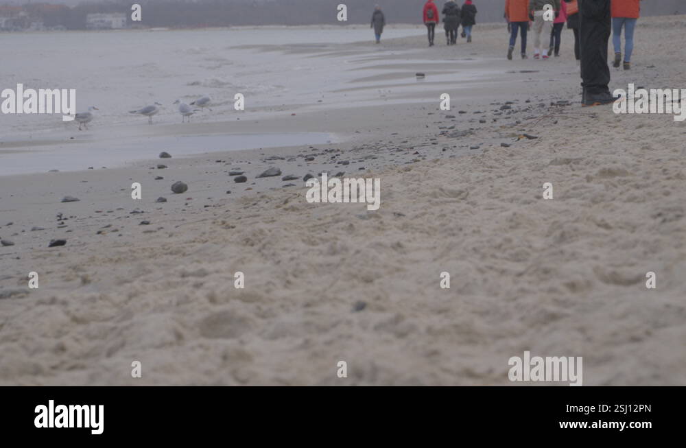 People Walking In The Redlowo Beach On A Cold Day In Gdynia, Poland ...