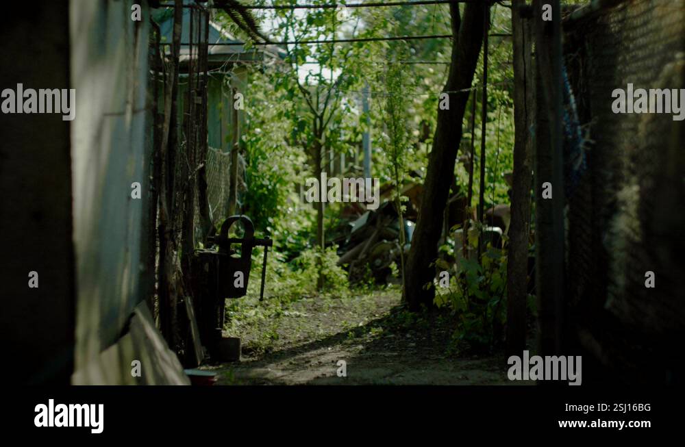 Dark narrow path to green backyard with outdoor plants, rural life ...