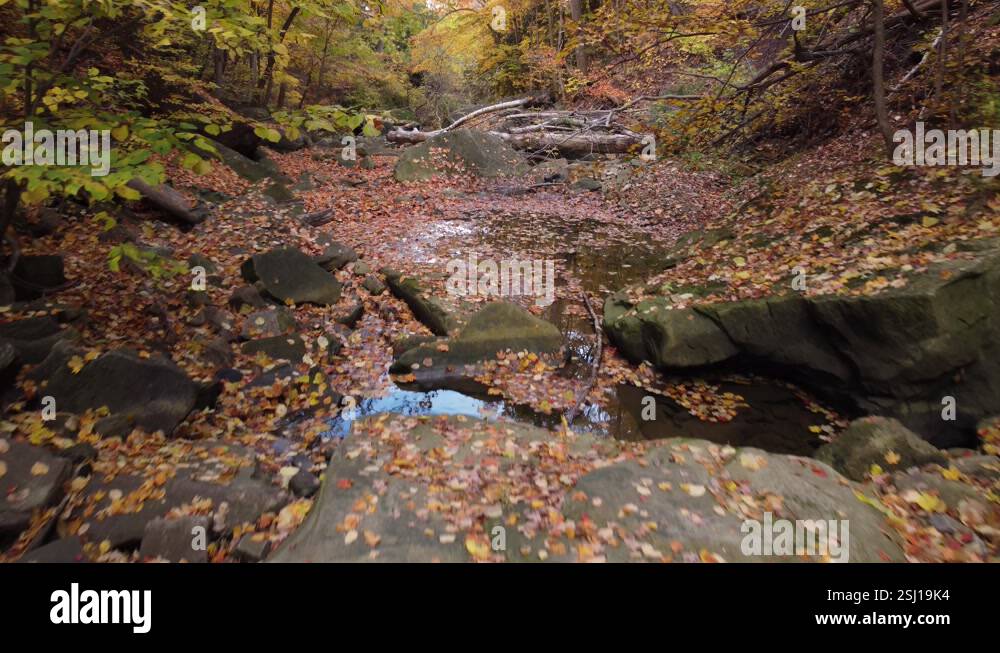 Flyover Dried-up rocky riverbed with Fallen trees in during Fall Season ...