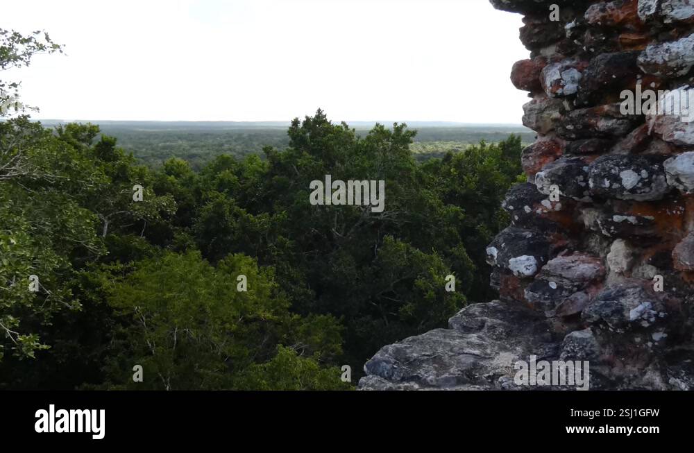 View from the top of the Temple of the Owl pyramid at Dzibanche, Mexico ...